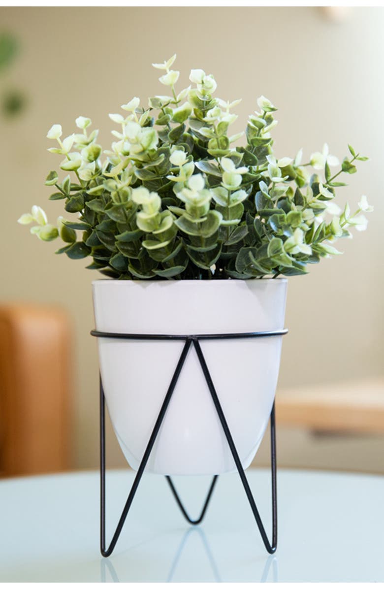 FLORA BUNDA 12" Eucalyptus in 4.75" White Pot in Black Metal Stand ...