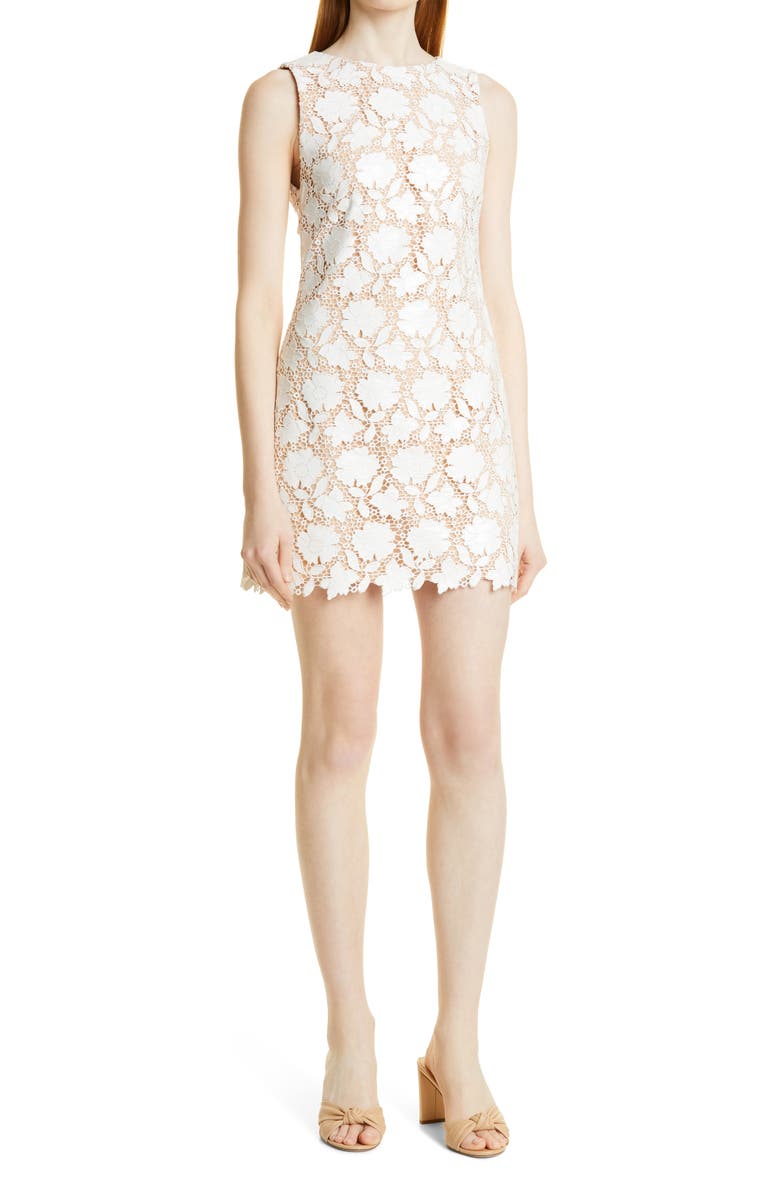Alice + Olivia Floral Lace Sleeveless Shift Minidress | Nordstrom