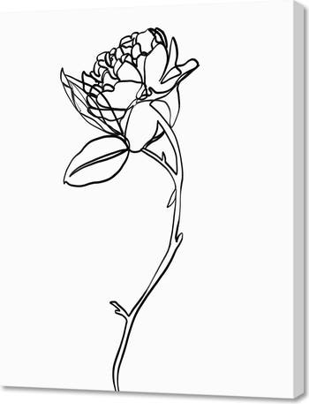 CURIOOS Minimal Rose Flower Line Art Print | Nordstromrack