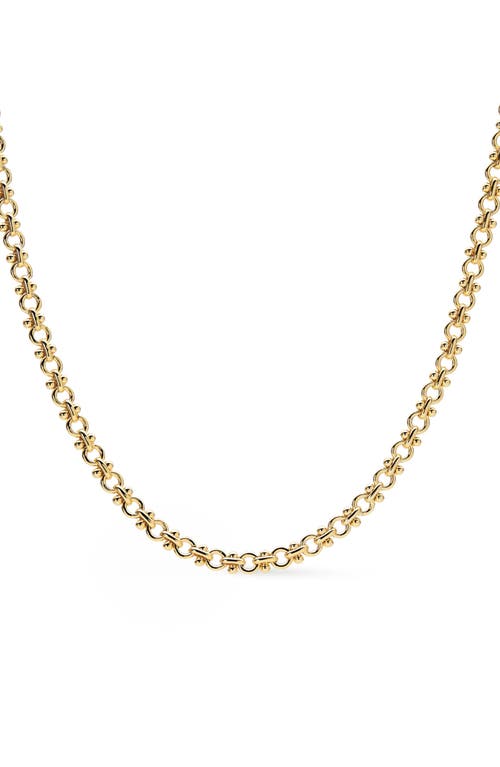 Ana Luisa Thick Gold Chain Necklace | ModeSens