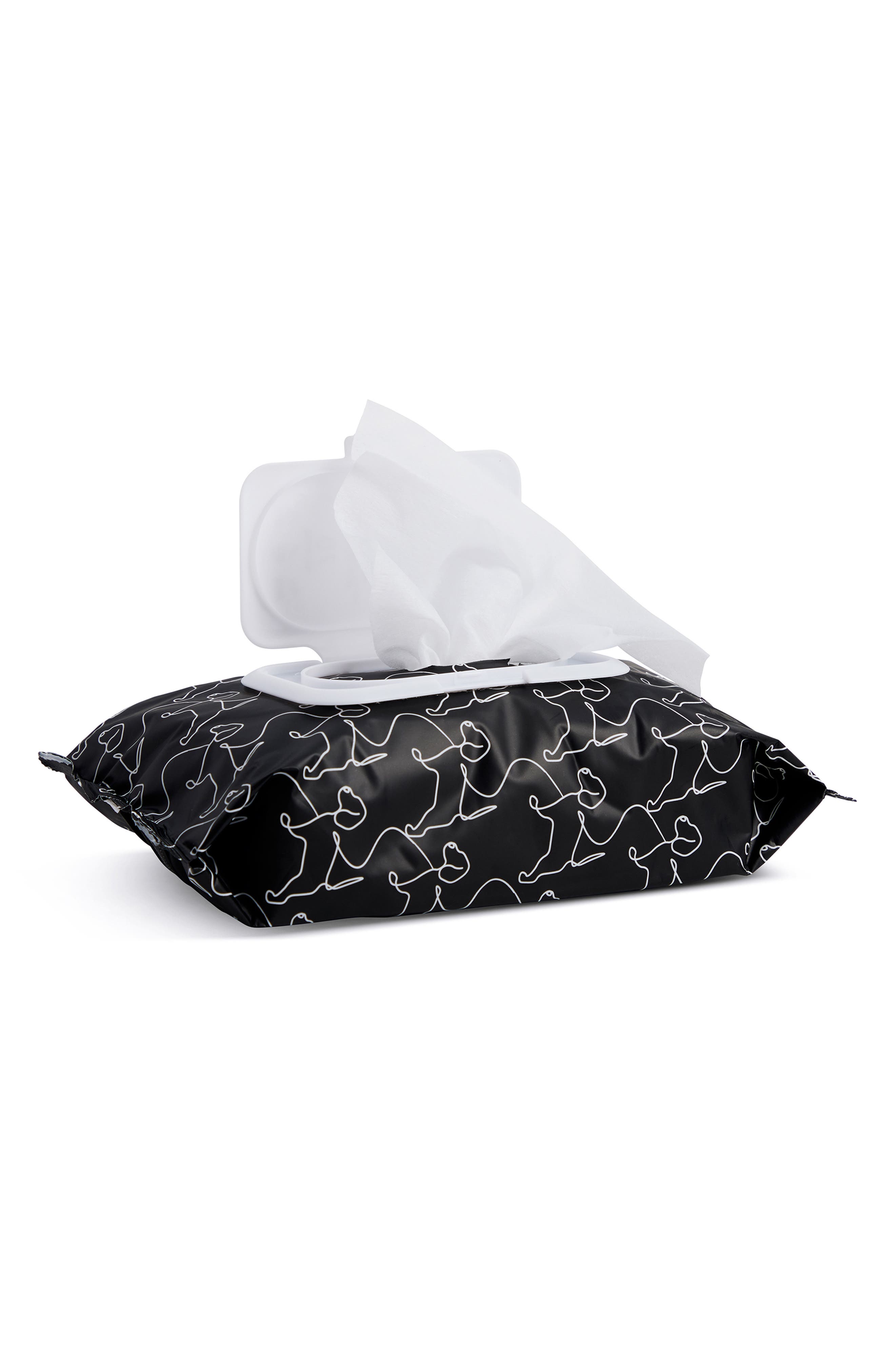Core Home Set of 3 Aloe Vera Pet Wipes | Nordstromrack
