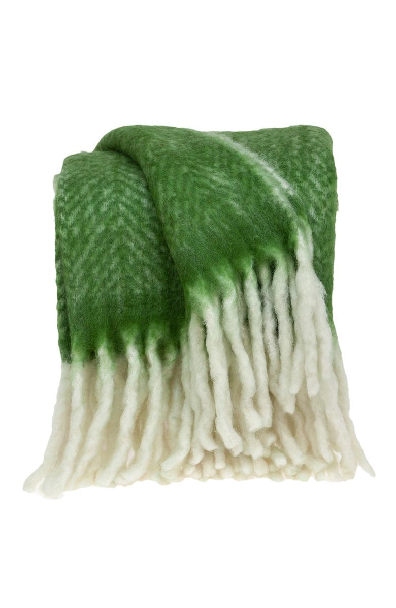 PARKLAND COLLECTION Nagar Transitional Green 52" x 67" Woven Handloom ...