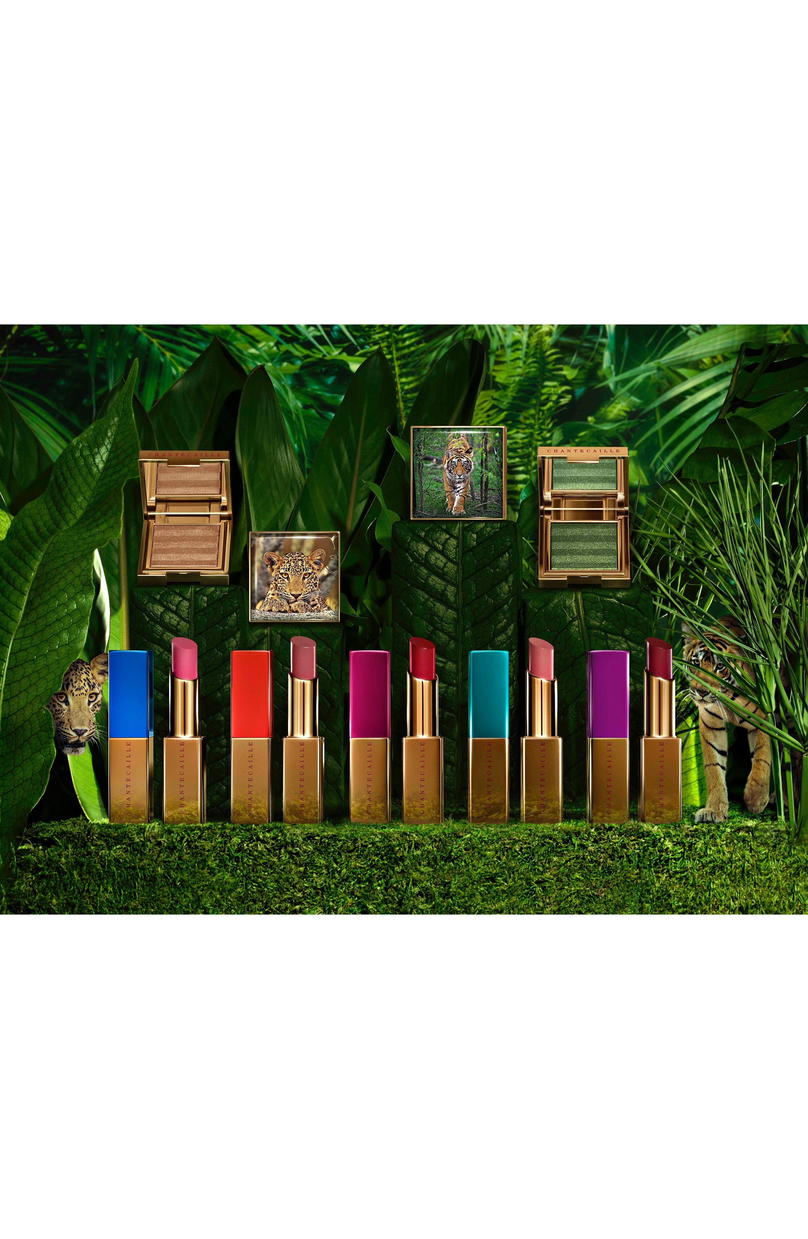 Chantecaille Luminescent Eye Shade Eyeshadow | Nordstrom