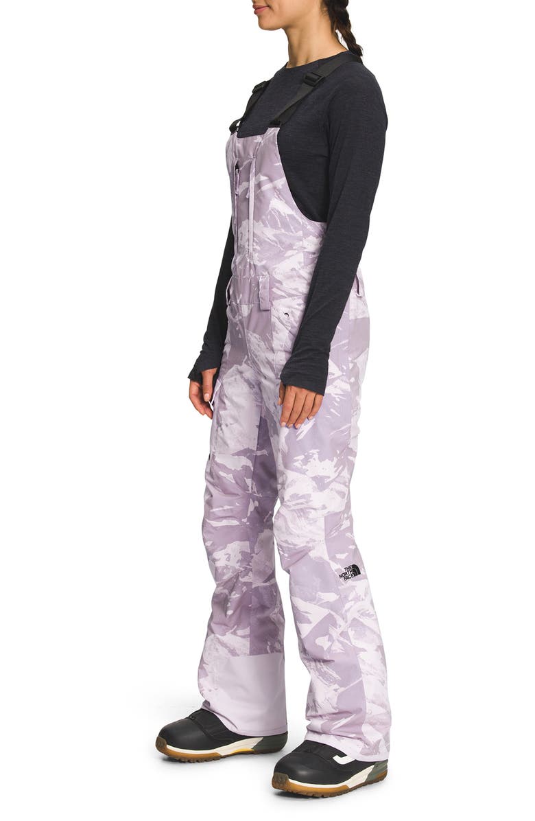 The North Face Freedom Waterproof Snow Bib Overalls | Nordstromrack