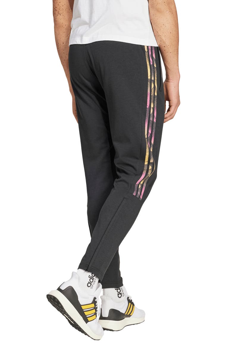 ADIDAS SPORTSWEAR Tiro Q2 Pants | Nordstromrack