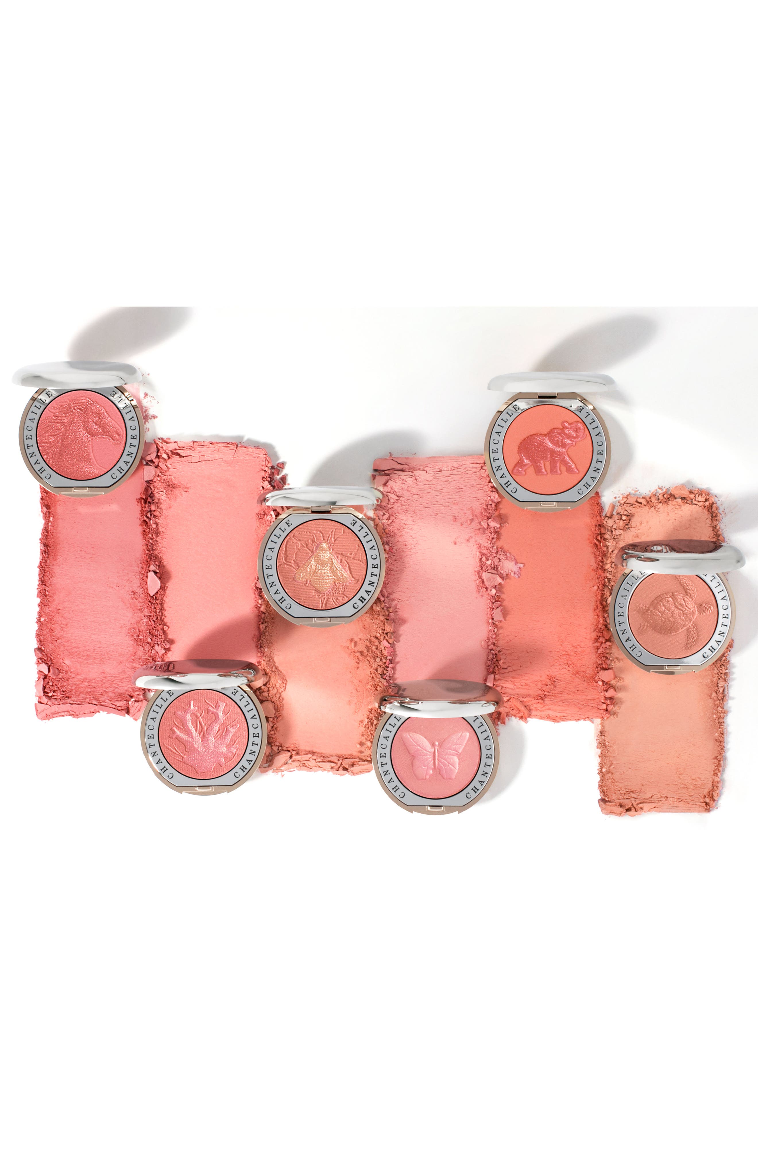 Chantecaille Philanthropy Cheek Shade Blush | Nordstrom