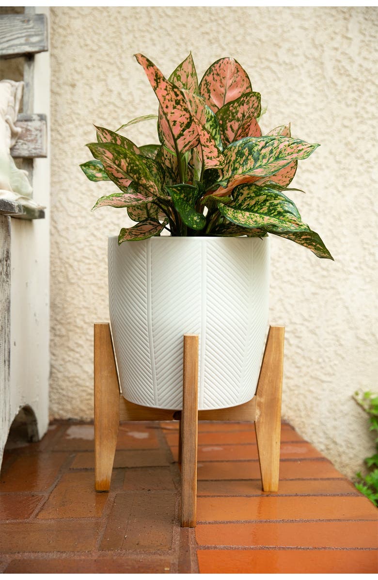 FLORA BUNDA 10" & 6.6" Chevron Ceramic Planter on Stand- Set of 2 ...
