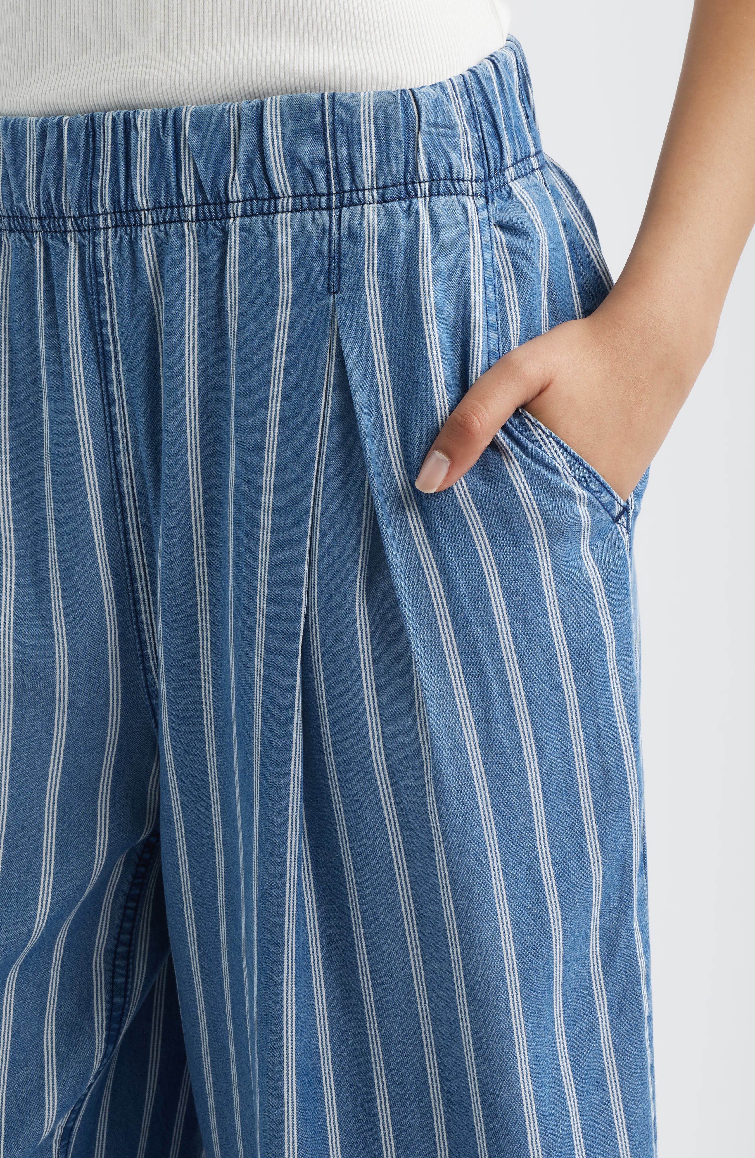 CITY BLUES Pleated Stripe Wide Leg Denim Pants | Nordstrom