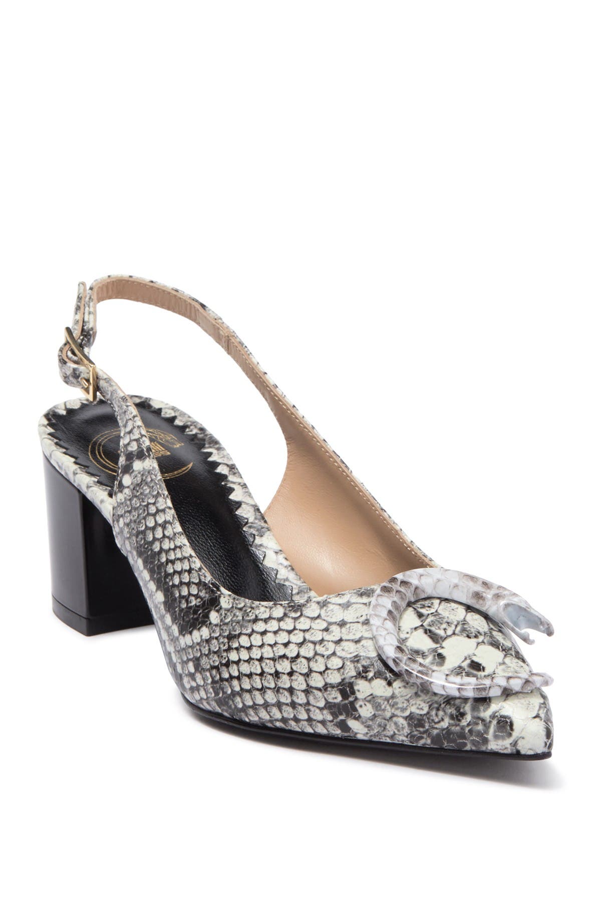 Roberto Cavalli Snake Embossed Pointed Toe Slingback Pump | Nordstromrack