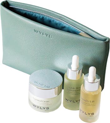 WYLYS Nightinol Cream & Sage Verte Makeup Bag | Nordstrom