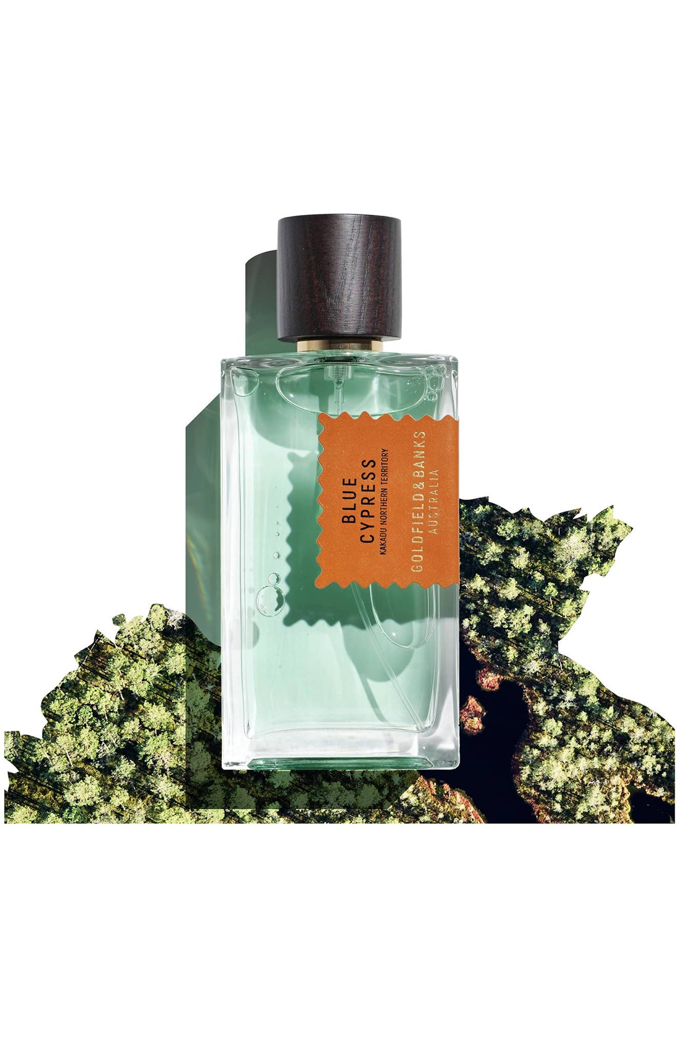 Blue Cypress Perfume Concentrate (Women) | Nordstrom