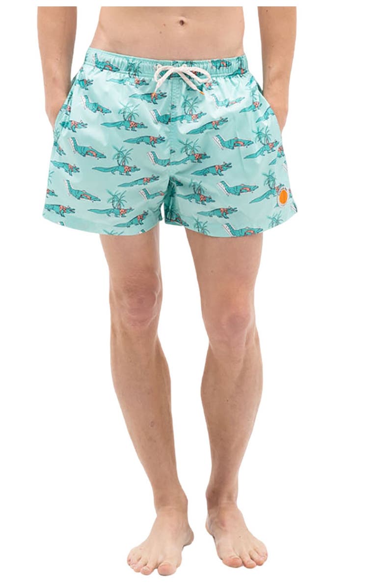ambsn Lounge Lizard Board Shorts | Nordstromrack