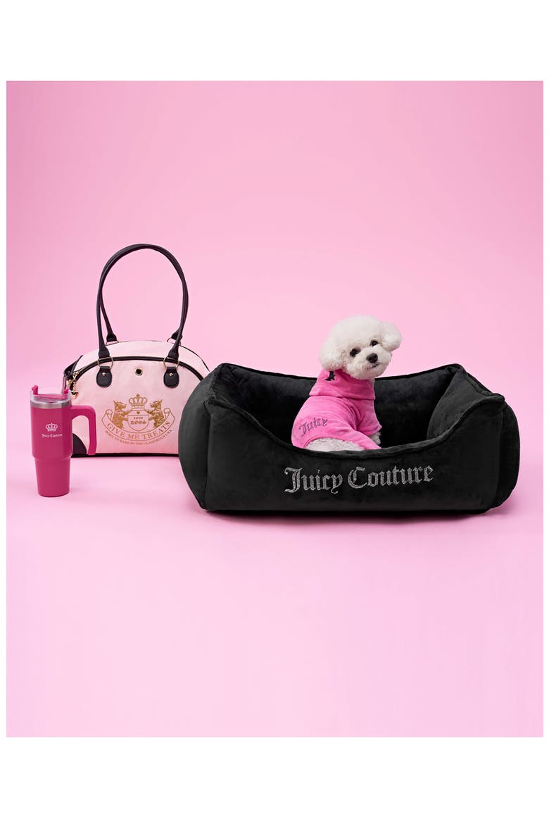 Velour Dog Tracksuit | Nordstromrack