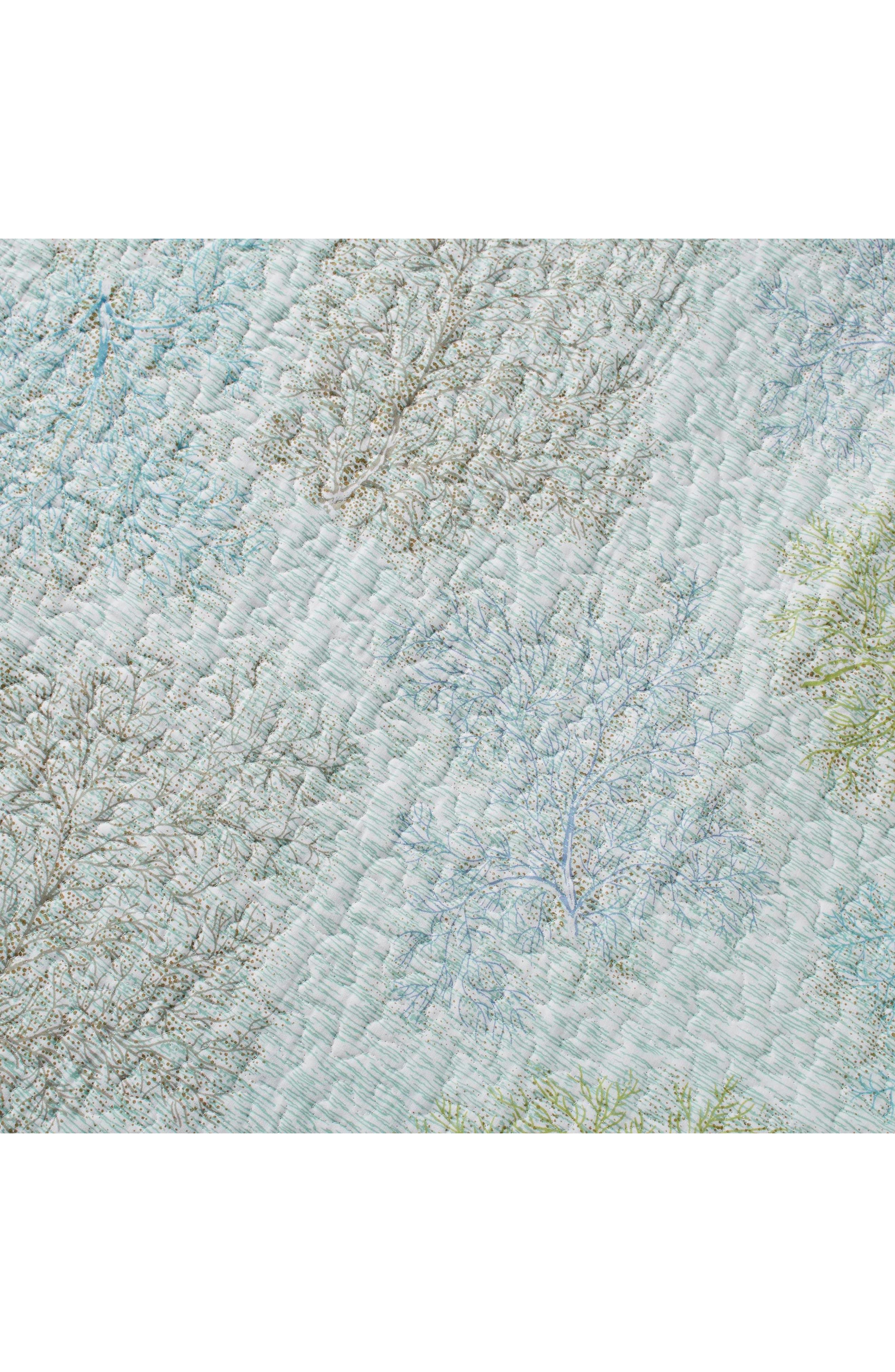 Laura Ashley Saltwater Quilt Set | Nordstromrack