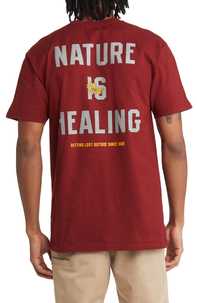 Vans Healing Flower Logo Cotton Graphic Tee | Nordstromrack