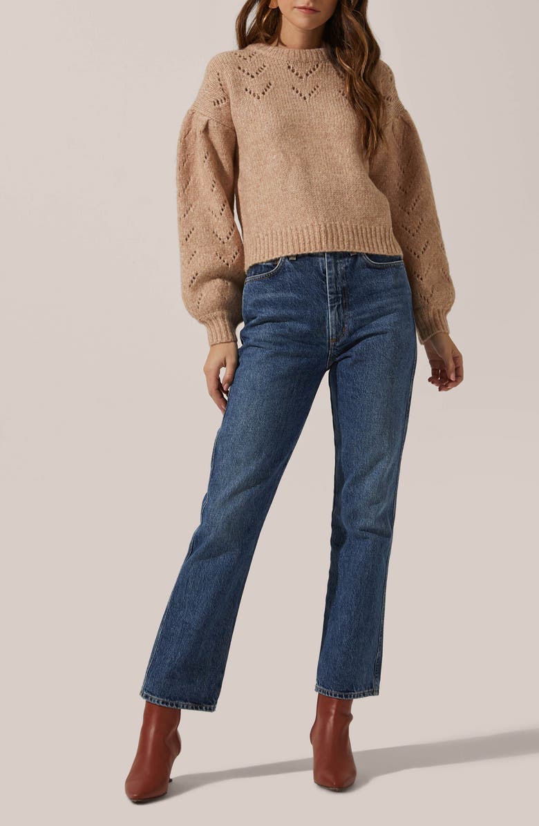 ASTR the Label Pointelle Puff Sleeve Sweater | Nordstromrack