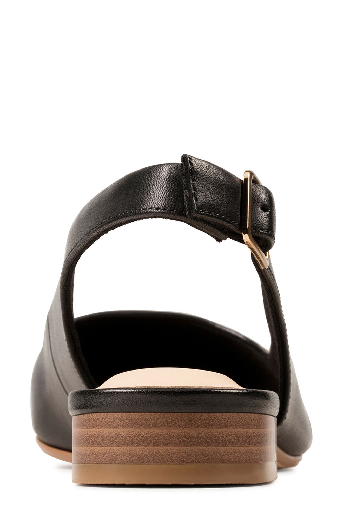 Clarks® Laina Slingback Pointy Toe Flat (Women) | Nordstrom