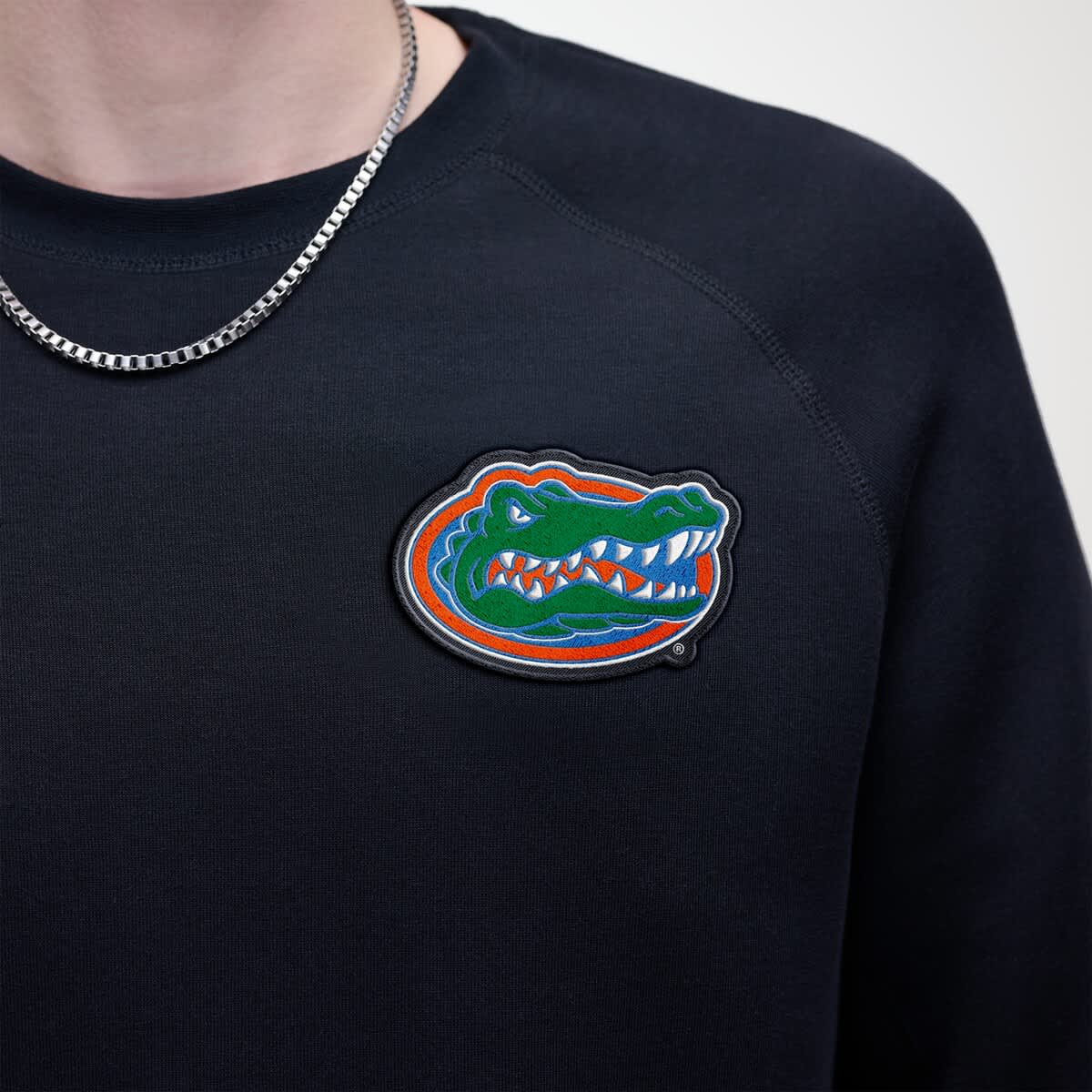 Men's Nike Black Florida Gators Tech Fleece Raglan Sweatshirt (Men ...