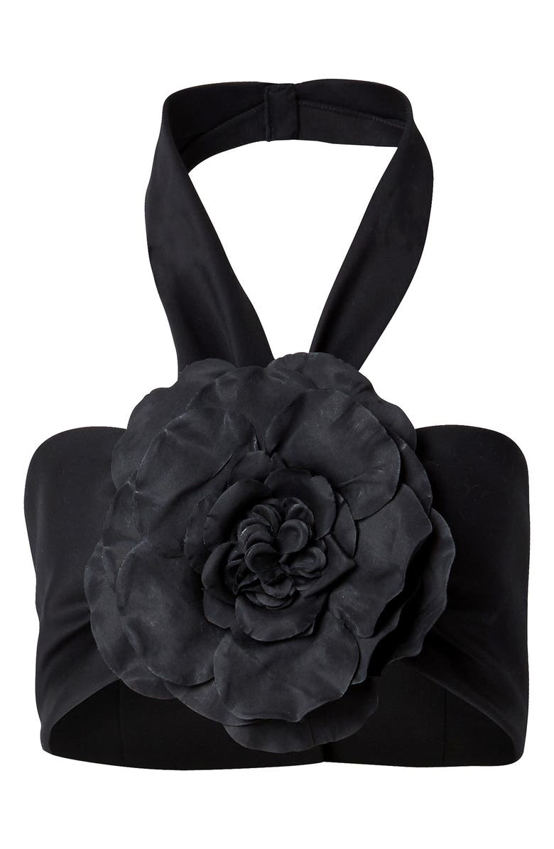 Carolina Herrera Floral Appliqué Halter Neck Cotton Blend Bandeau Top ...