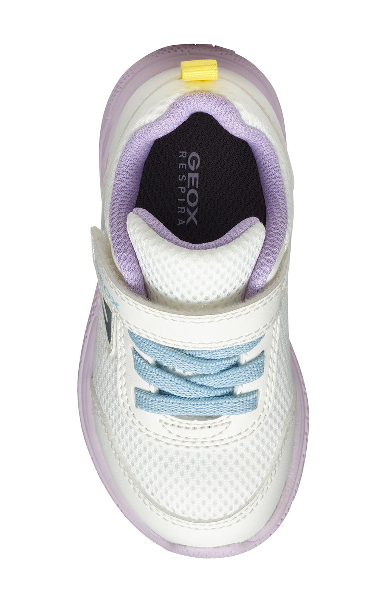 Geox Kids' Sprintye Sneaker | Nordstrom