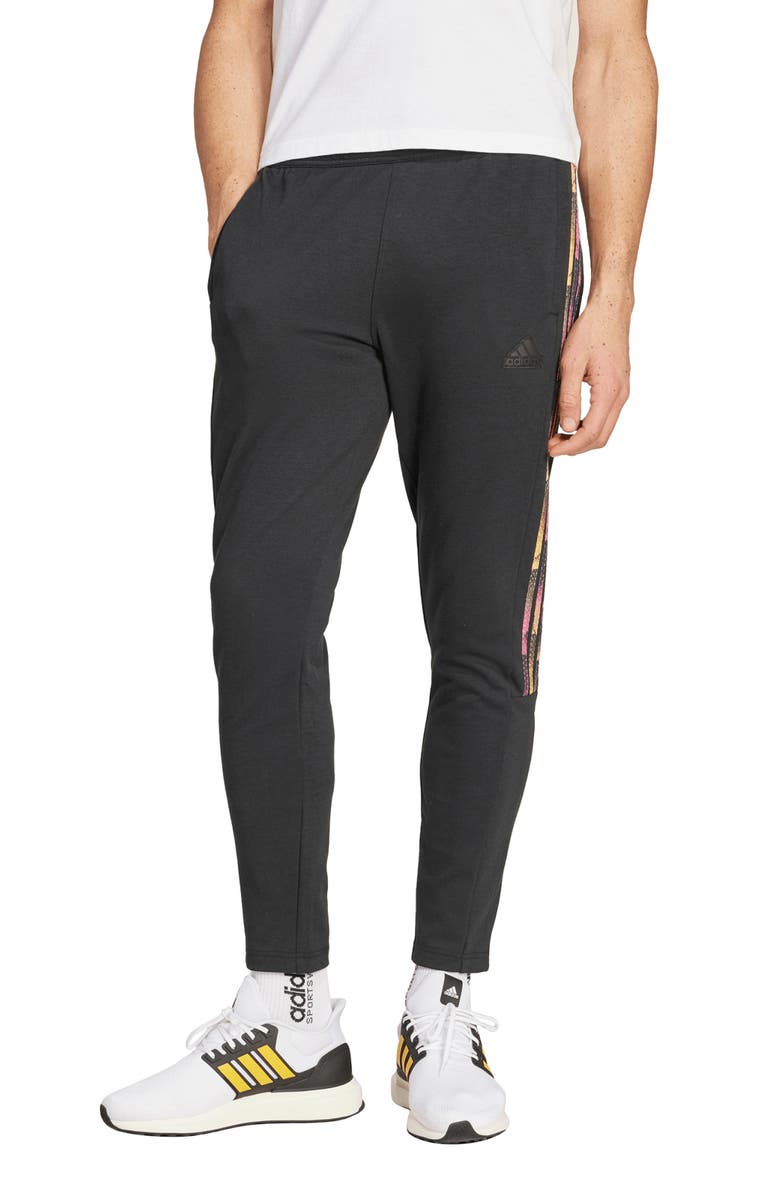 ADIDAS SPORTSWEAR Tiro Q2 Pants | Nordstromrack