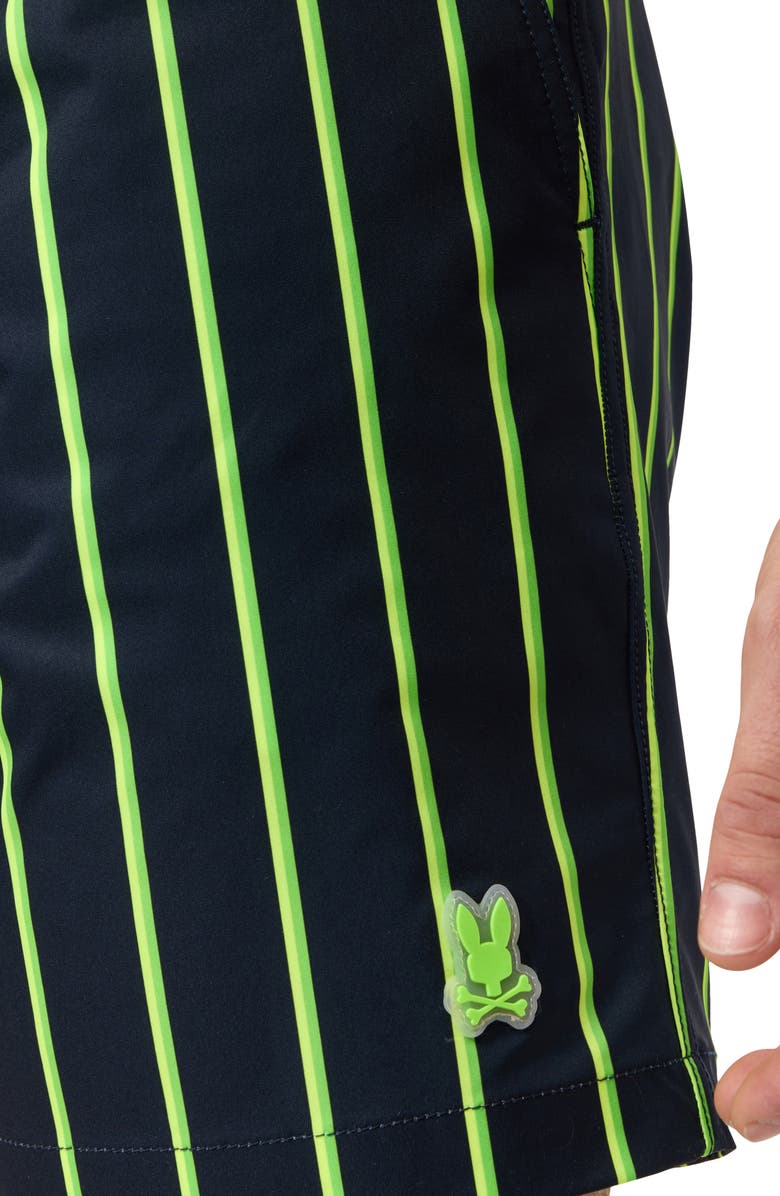Psycho Bunny Alton Stripe Swim Trunks | Nordstromrack