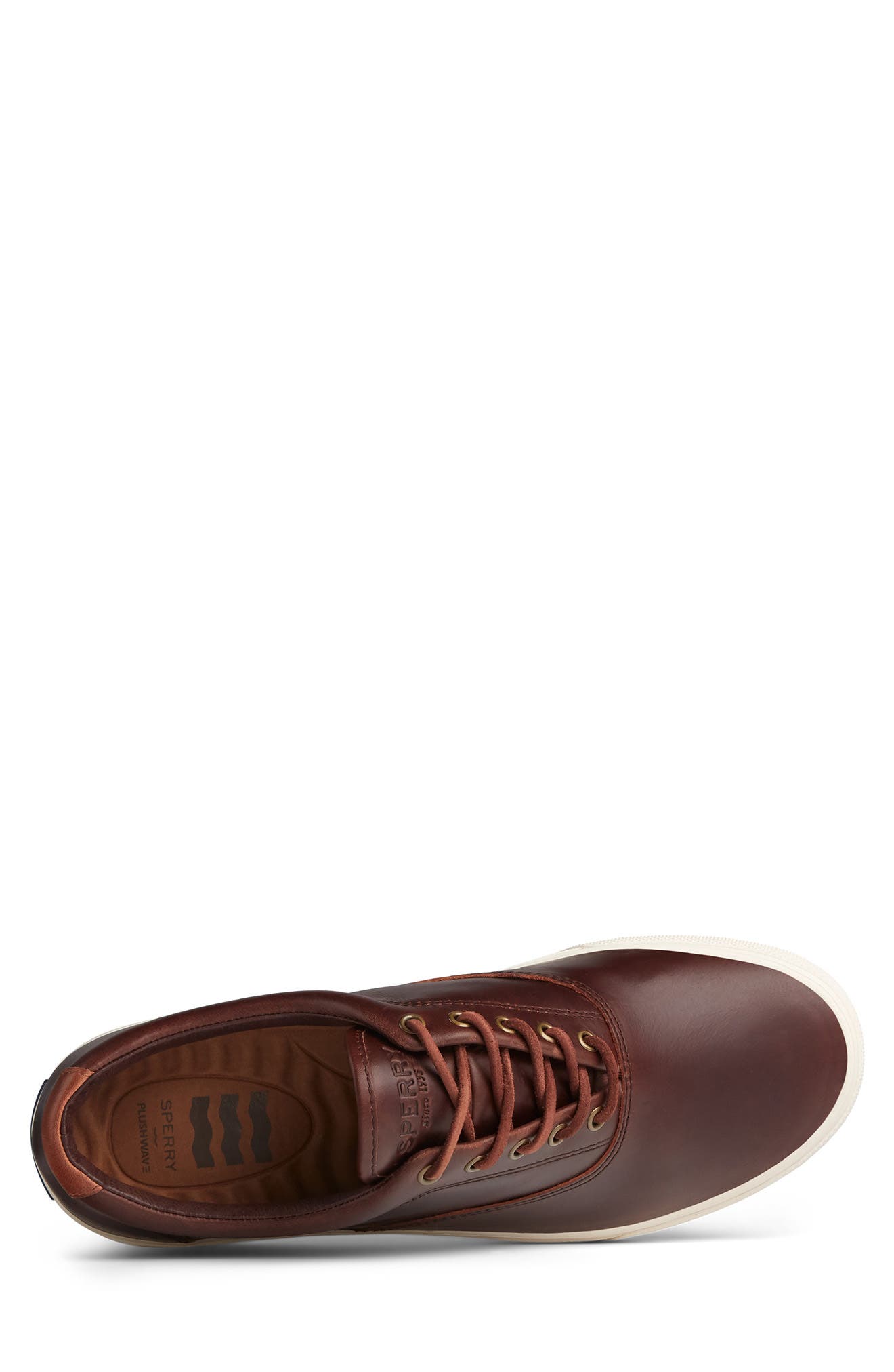 Sperry Striper Plushwave CVO Sneaker (Men) | Nordstromrack