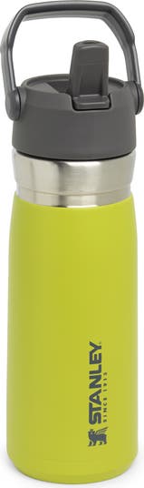 Stanley Stan Insulated Go Flip Straw Water Bottle | Nordstromrack