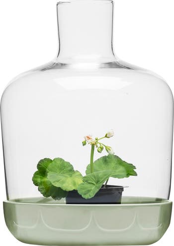 Sagaform Countertop Greenhouse | Nordstrom