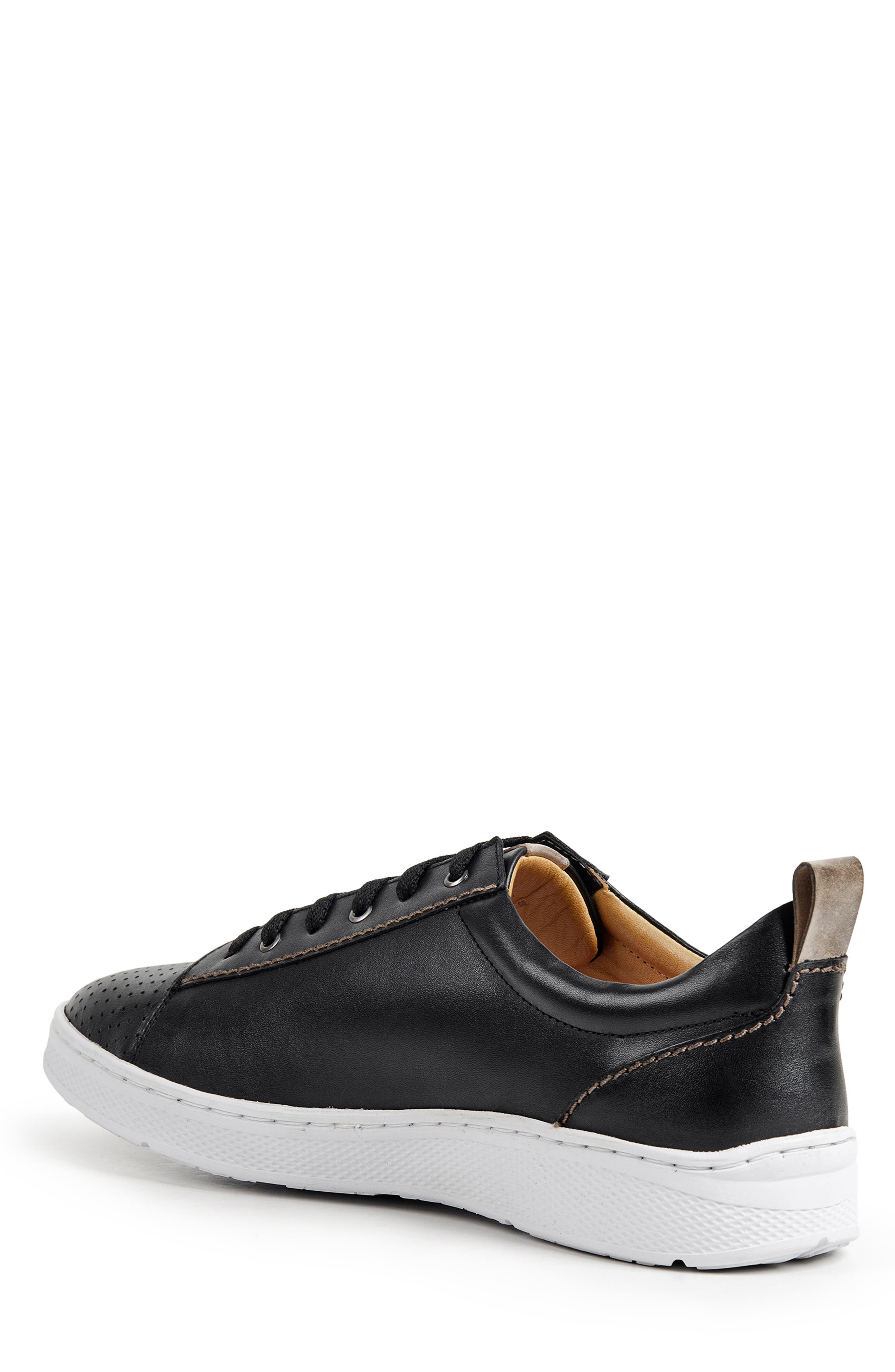 Sandro Moscoloni Myron Perforated Toe Lace-Up Sneaker | Nordstromrack