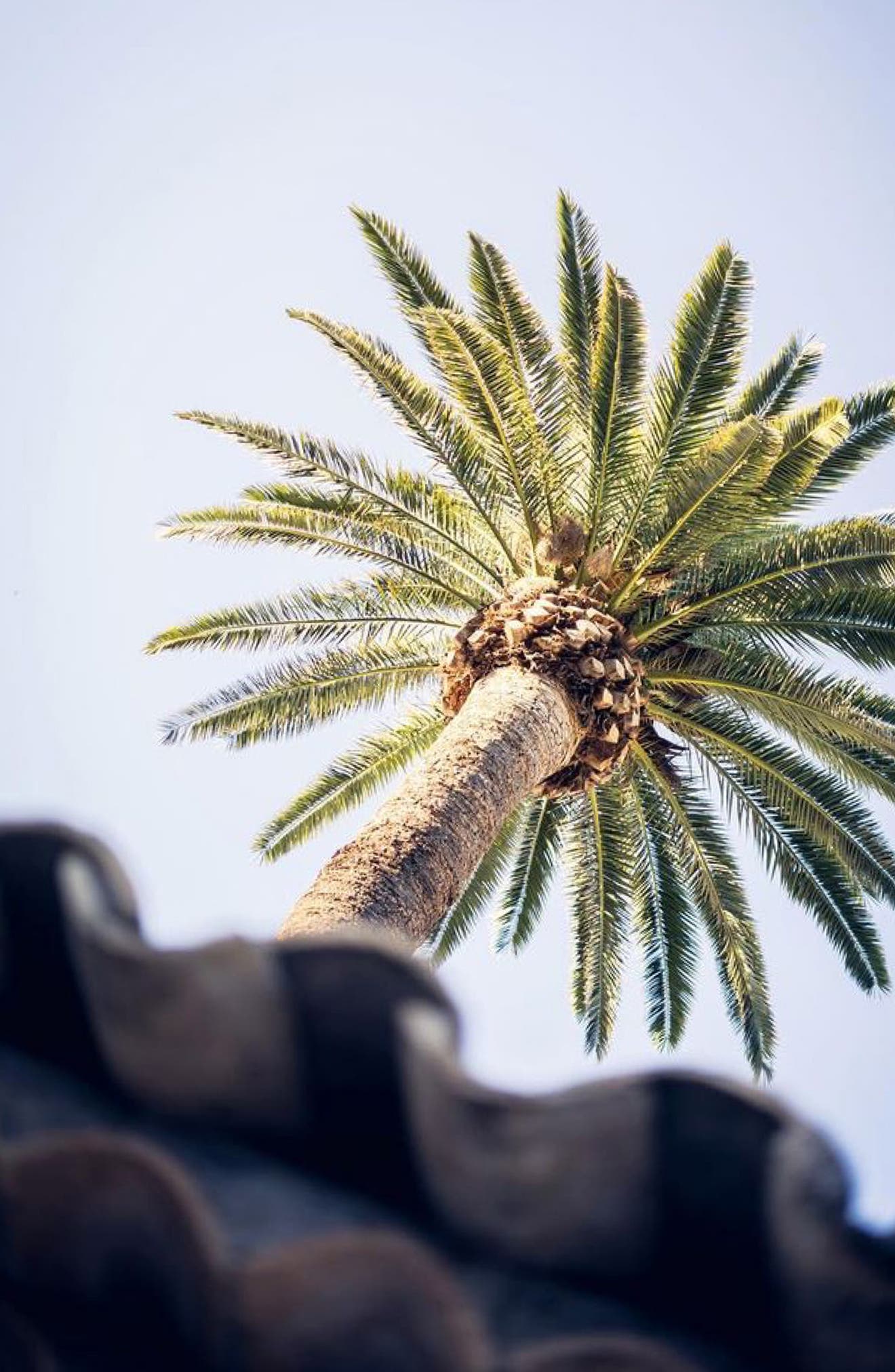 Mancera Paris French Riviera Eau de Parfum | Nordstrom