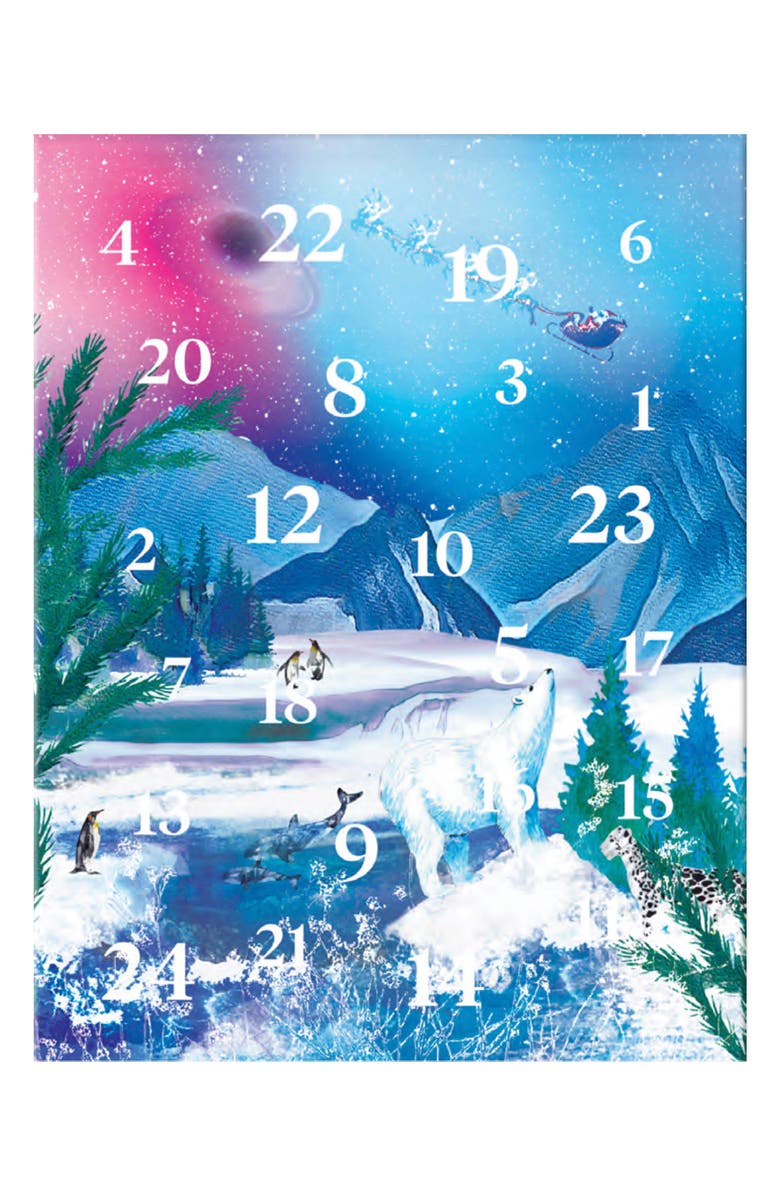 COMPARTES Gourmet Chocolate 2024 Advent Calendar Gift | Nordstromrack
