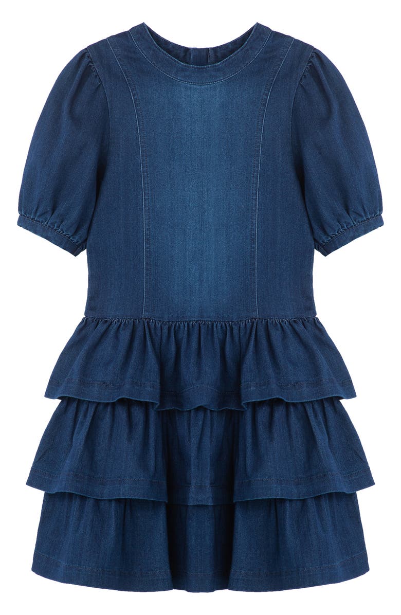Habitual Kids Kids' Drop Waist Ruffle Denim Dress | Nordstromrack