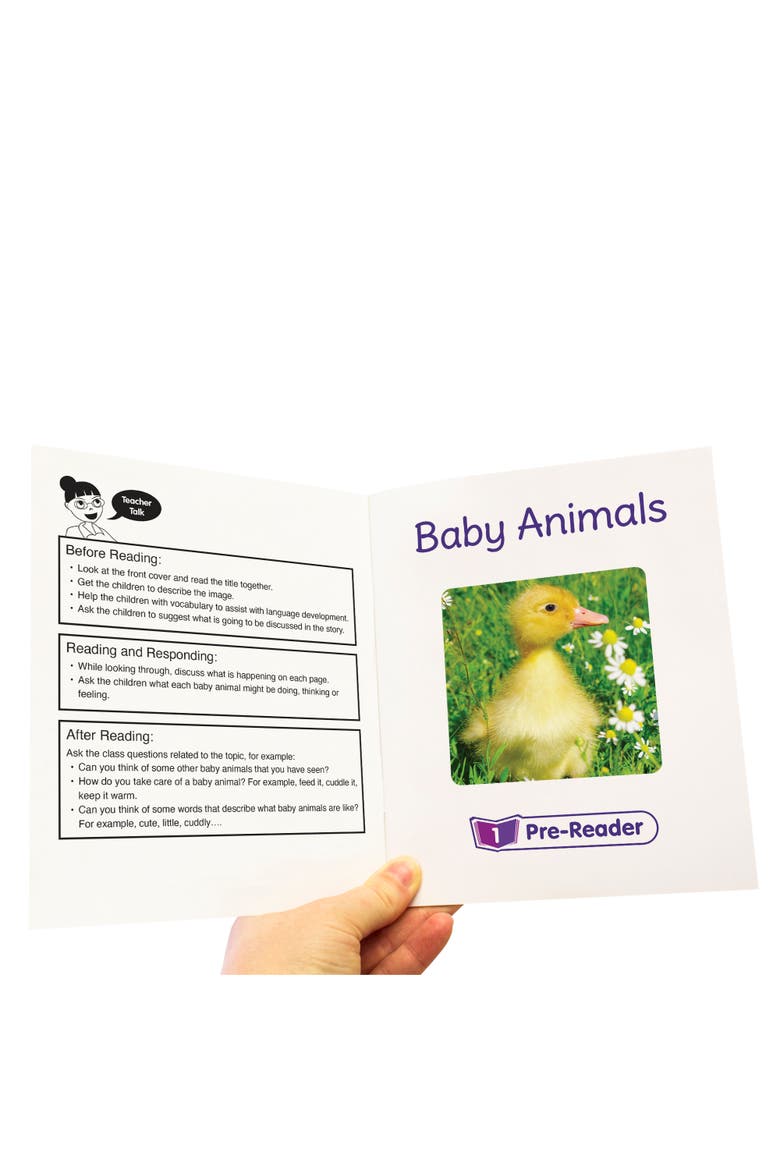 Letters & Sounds Phase 1 Set 2 Nonfiction, Multicolor | Nordstrom