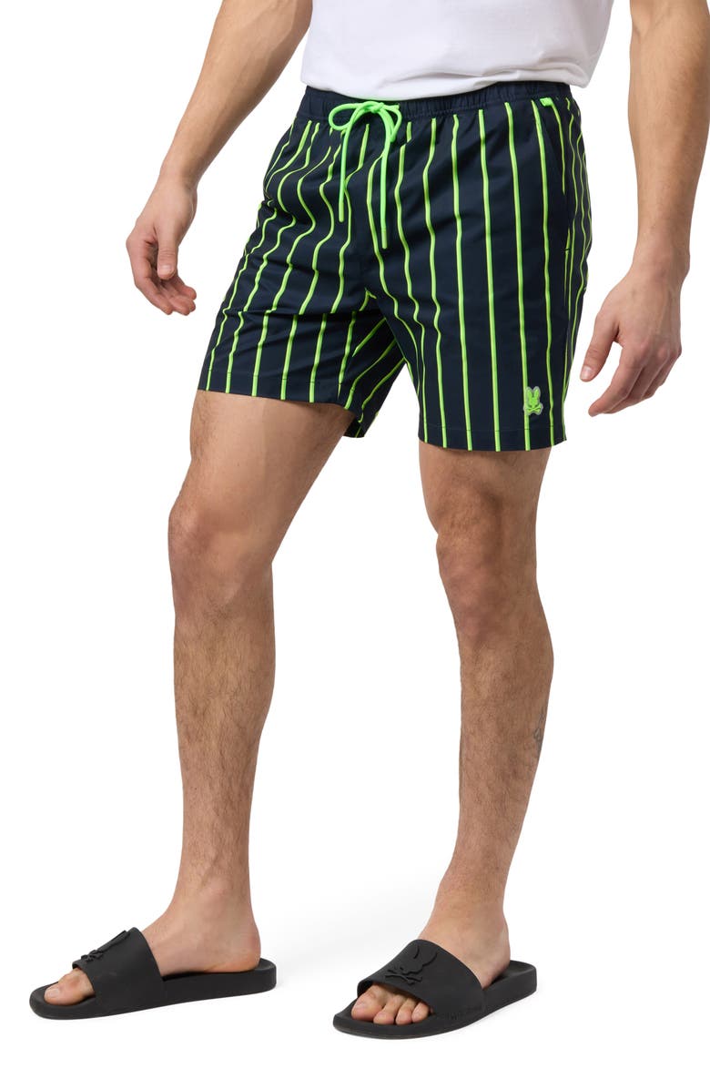 Psycho Bunny Alton Stripe Swim Trunks | Nordstromrack