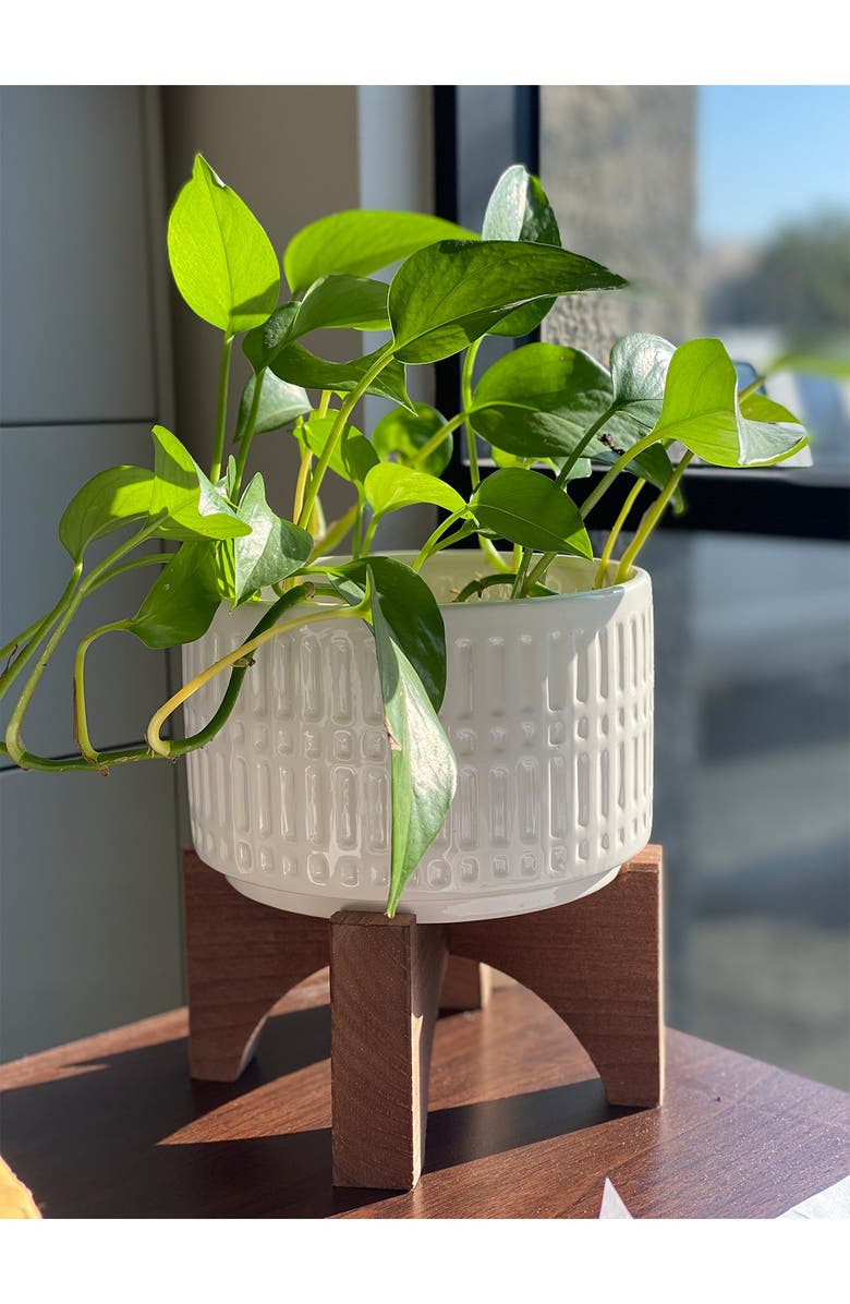 FLORA BUNDA 7" Roman Ceramic Pot on Wood Stand | Nordstromrack