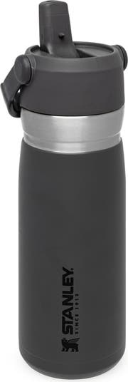 Stanley Stan Go Slip Straw Tumbler - 20 oz. | Nordstromrack