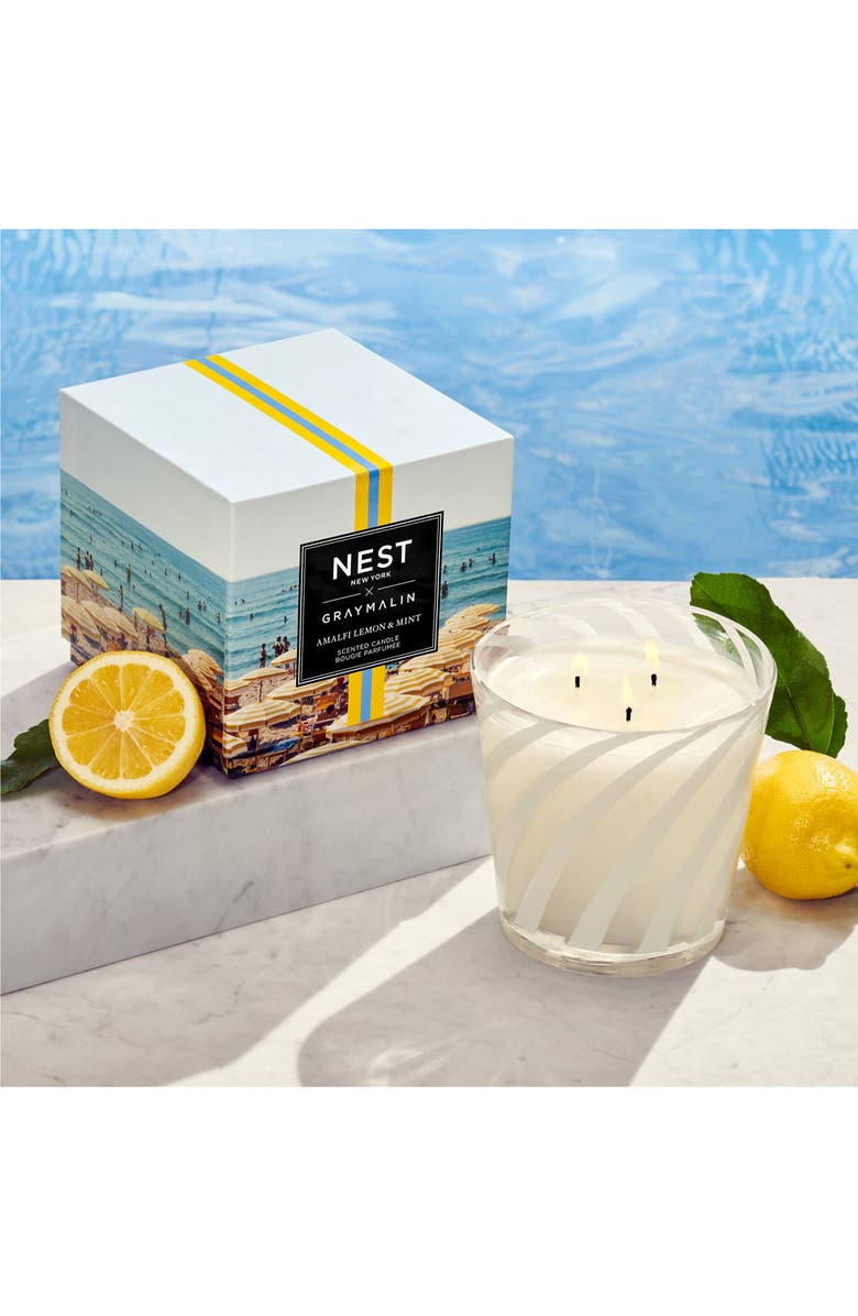 NEST New York x Gray Malin Amalfi Lemon & Mint Scented Candle ...