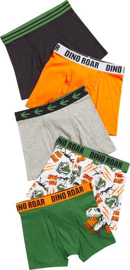Only Boys Kids' Jeremy Pack of 5 Boxer Briefs | Nordstromrack