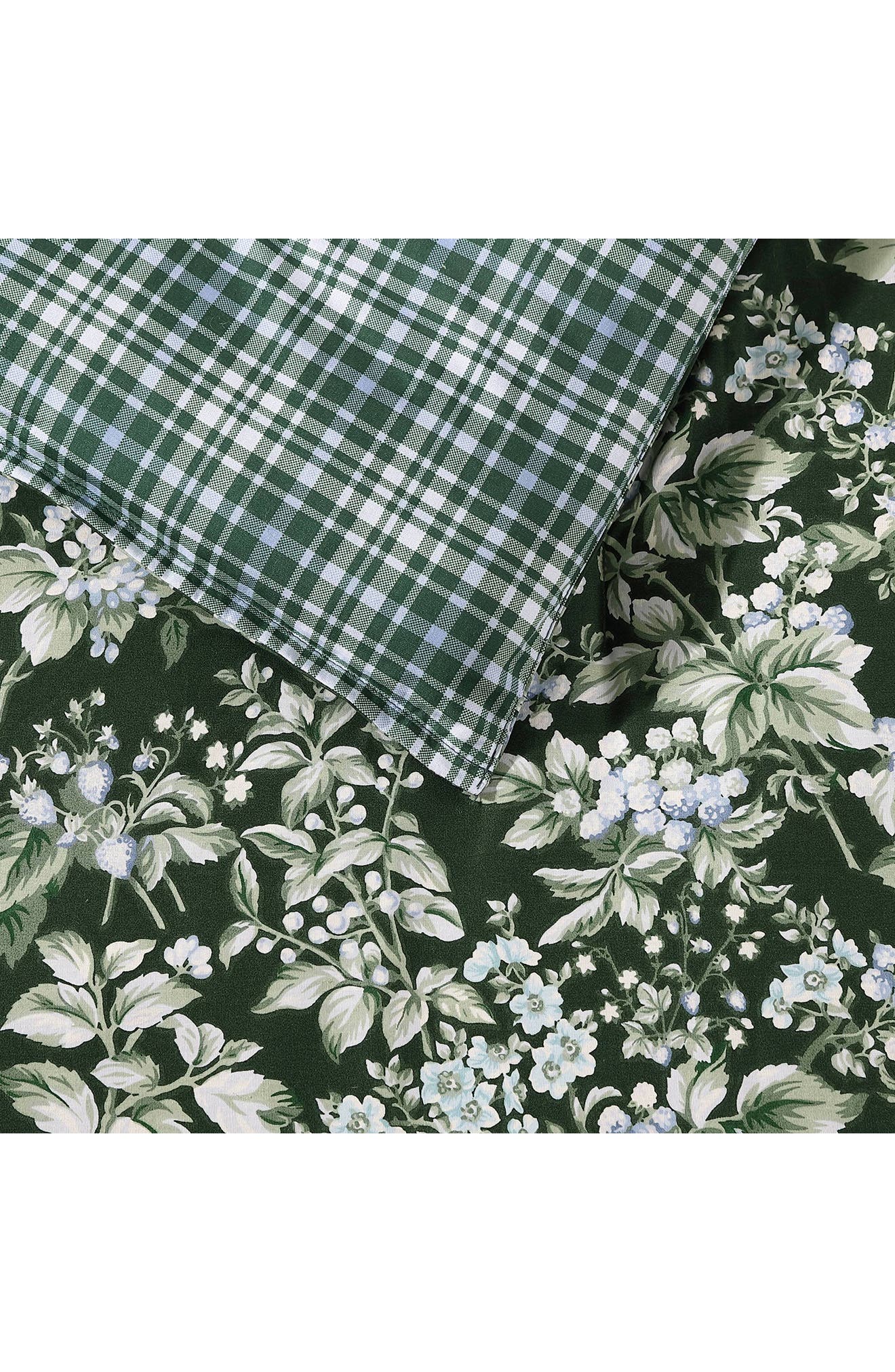 Laura Ashley Bramble Quilt & Sham Set | Nordstromrack