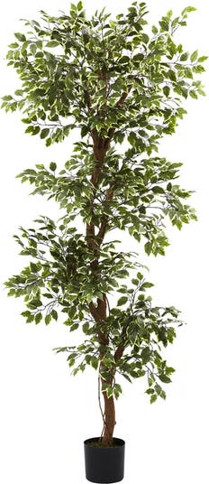 NEARLY NATURAL 6ft. Variegated Ficus Tree | Nordstromrack