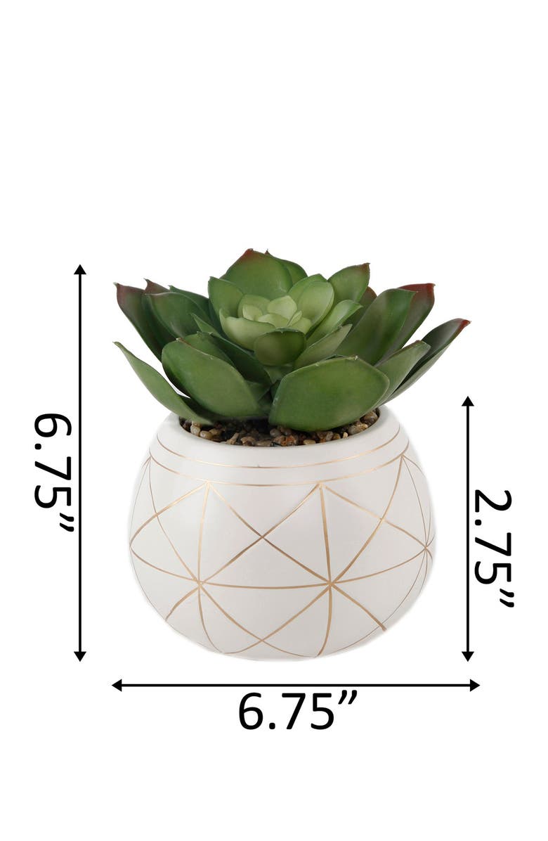 FLORA BUNDA Succulent In 6.5" Gold Geo Hand Painted Ceramic Planter ...