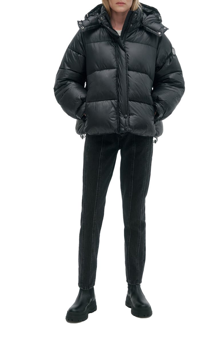 Noize Rumour Hooded Puffer Jacket | Nordstromrack