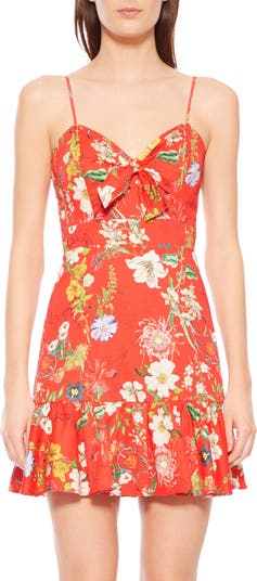 Parker Dany Floral Dress | Nordstrom