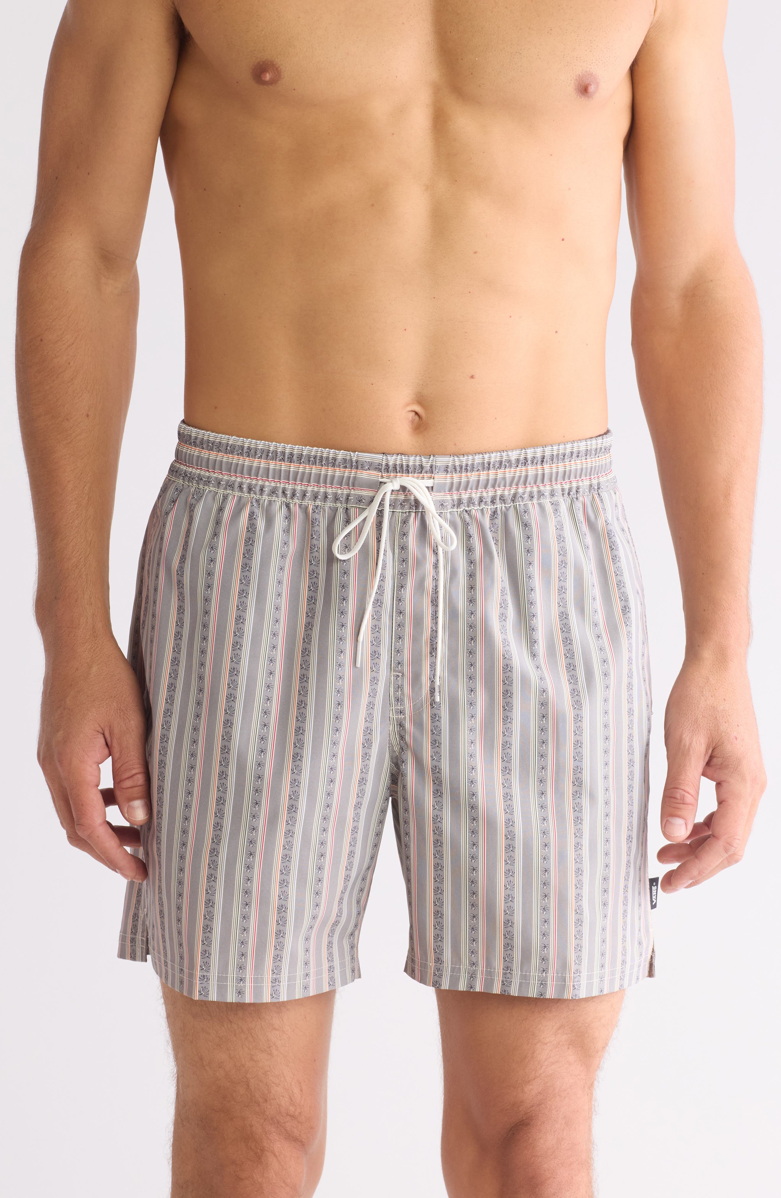 Vans Primary Stripe Board Shorts | Nordstromrack