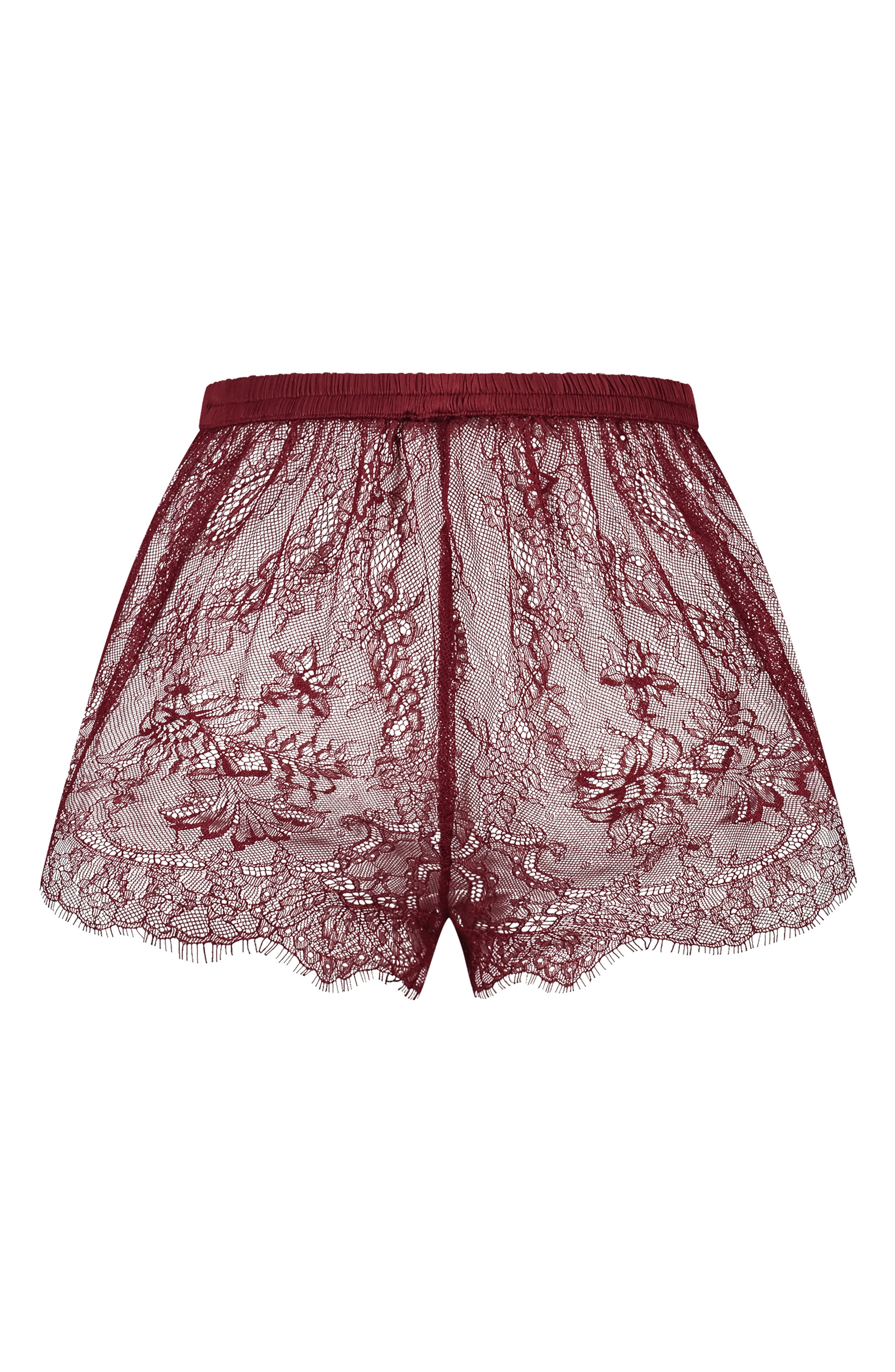 Hunkemöller Delphine French Lace Knicker Briefs | Nordstromrack