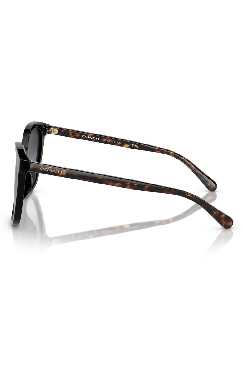 COACH 57mm Gradient Cat Eye Sunglasses | Nordstromrack