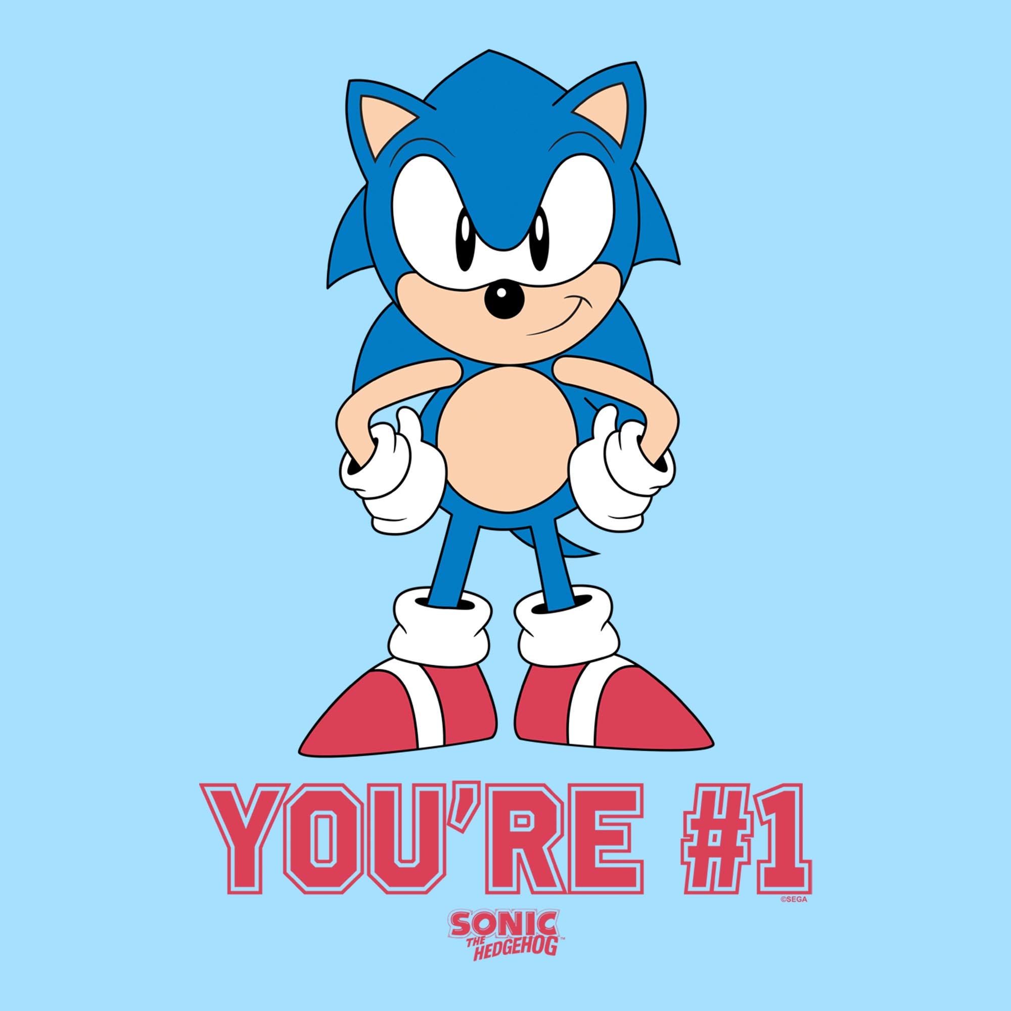 Sonic the Hedgehog Men's Sonic the Hedgehog You're The Number One ...