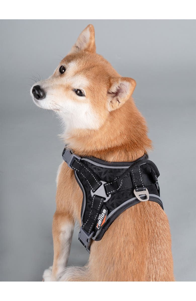 PET LIFE Dog Helios 'Scorpion' Sporty High-Performance Free-Range Dog ...