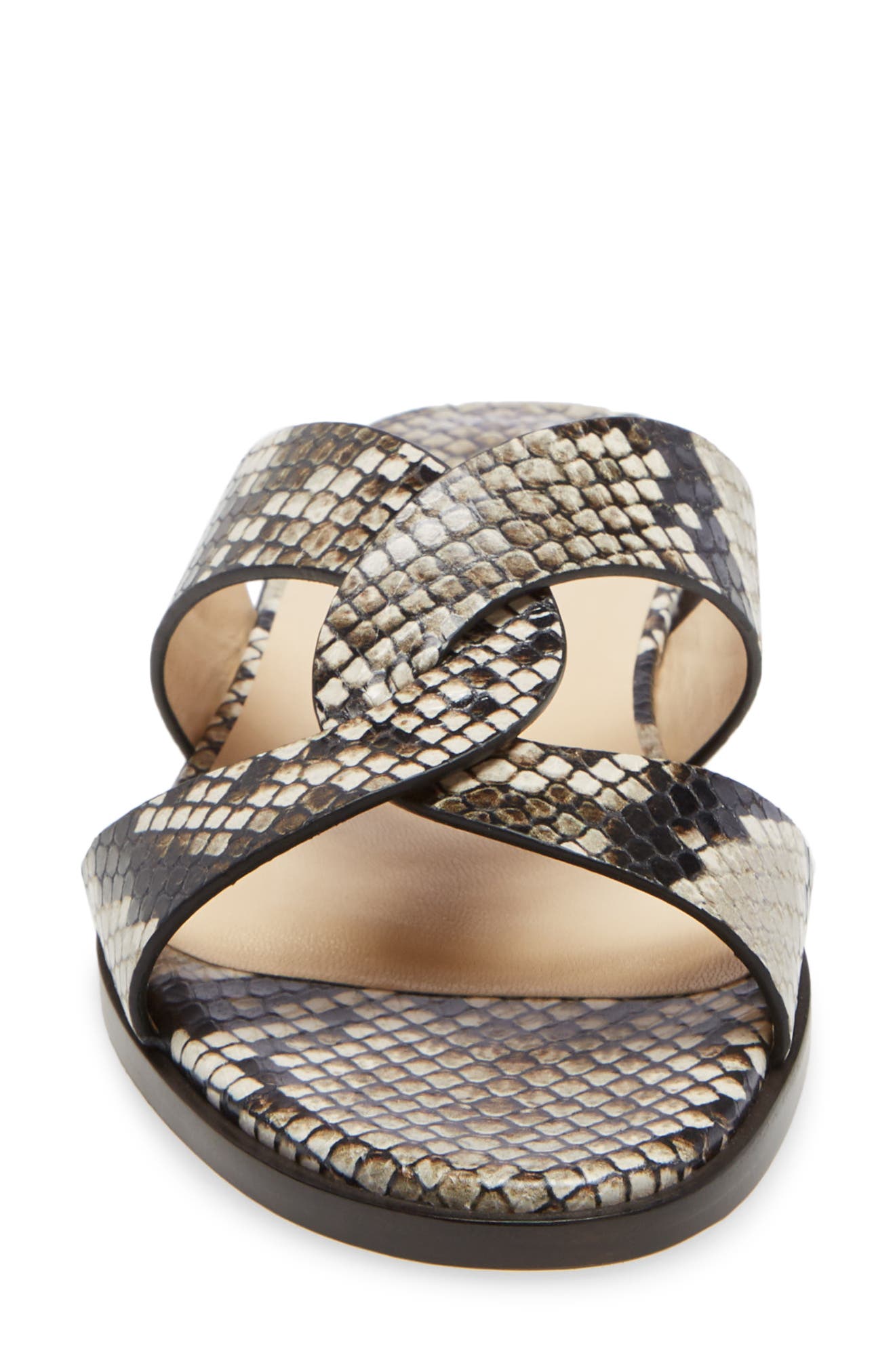 Jimmy Choo Atia Snake Printed Slide Sandal (Women) | Nordstromrack